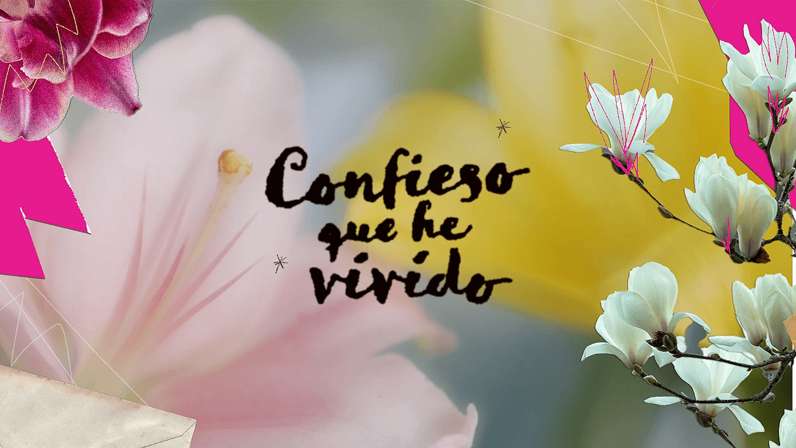 Confieso que he vivido | Canal once
